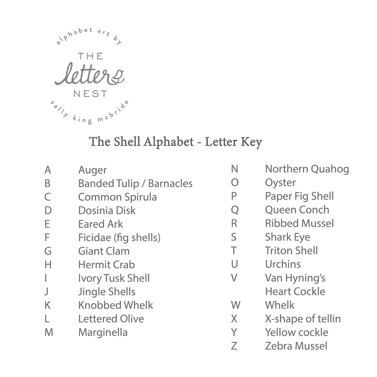 Shell Alphabet Print - The Letter Nest