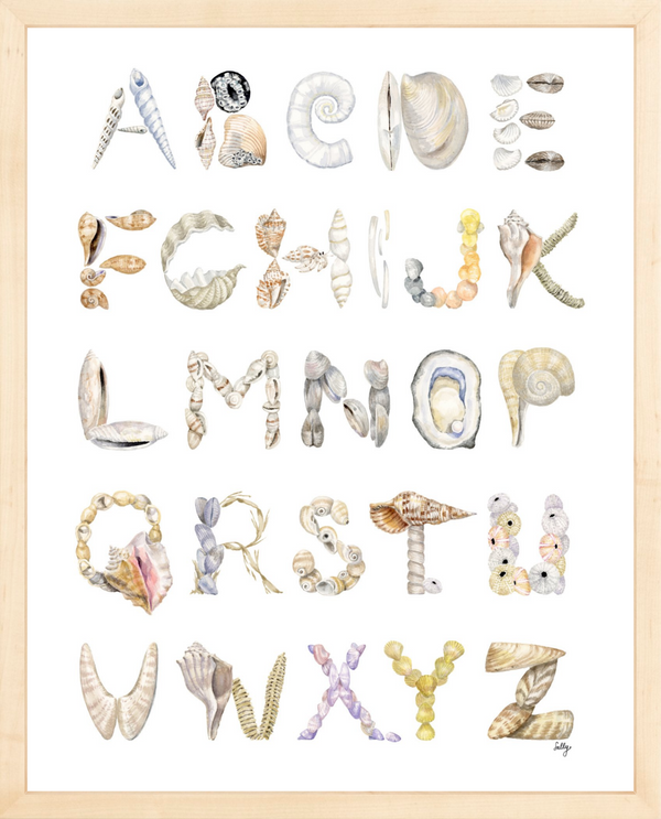 Shell Alphabet Print - The Letter Nest